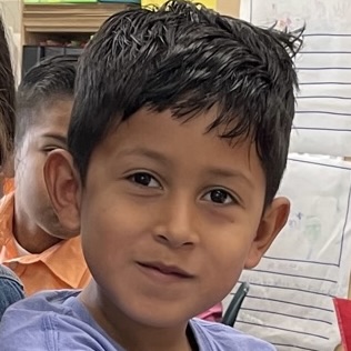 Programas M2L - Move2Learn